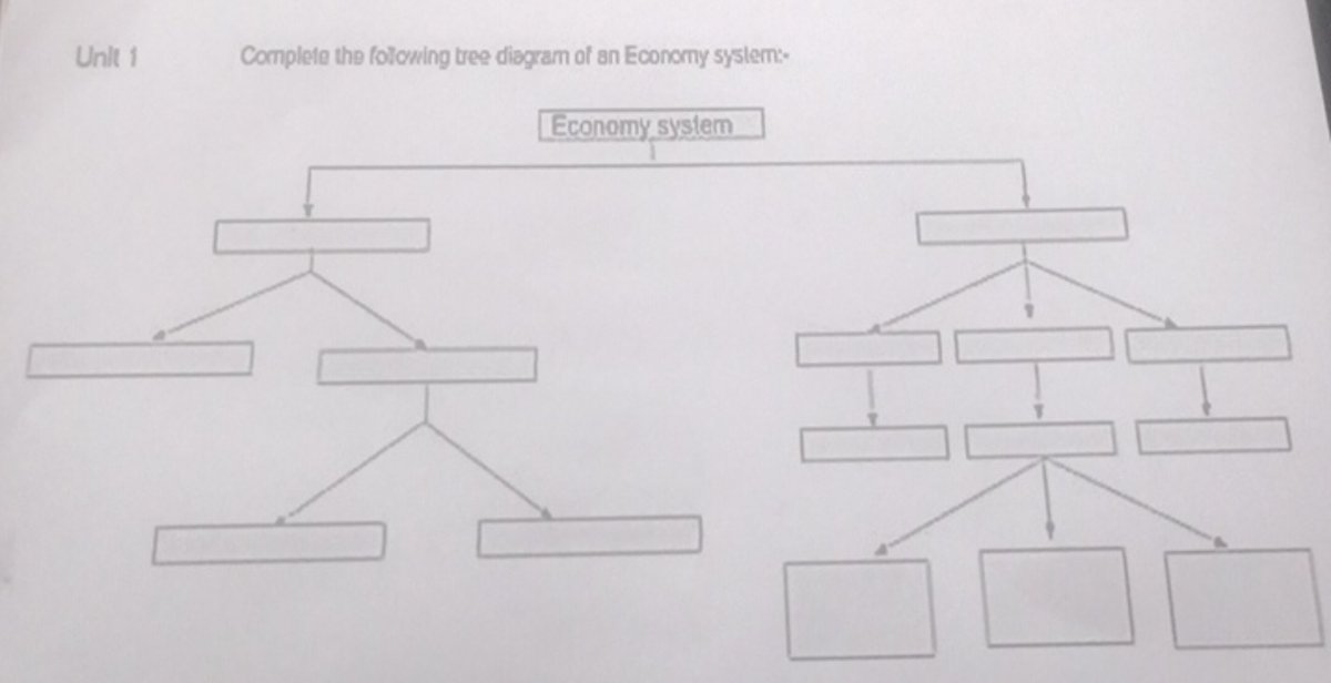 Complete the following tree diagram of an Economy system: [Image of an i..