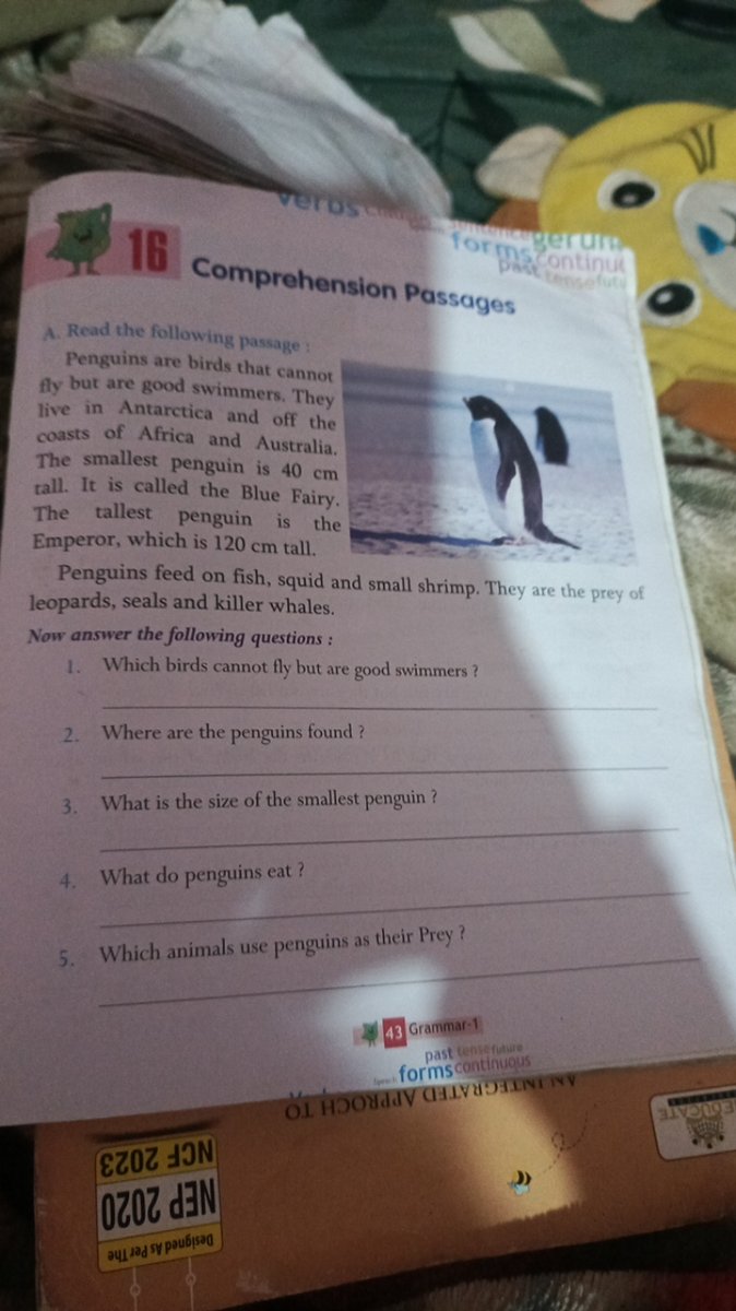 Comprehension Passages A. Read the following passage: Penguins are bird..