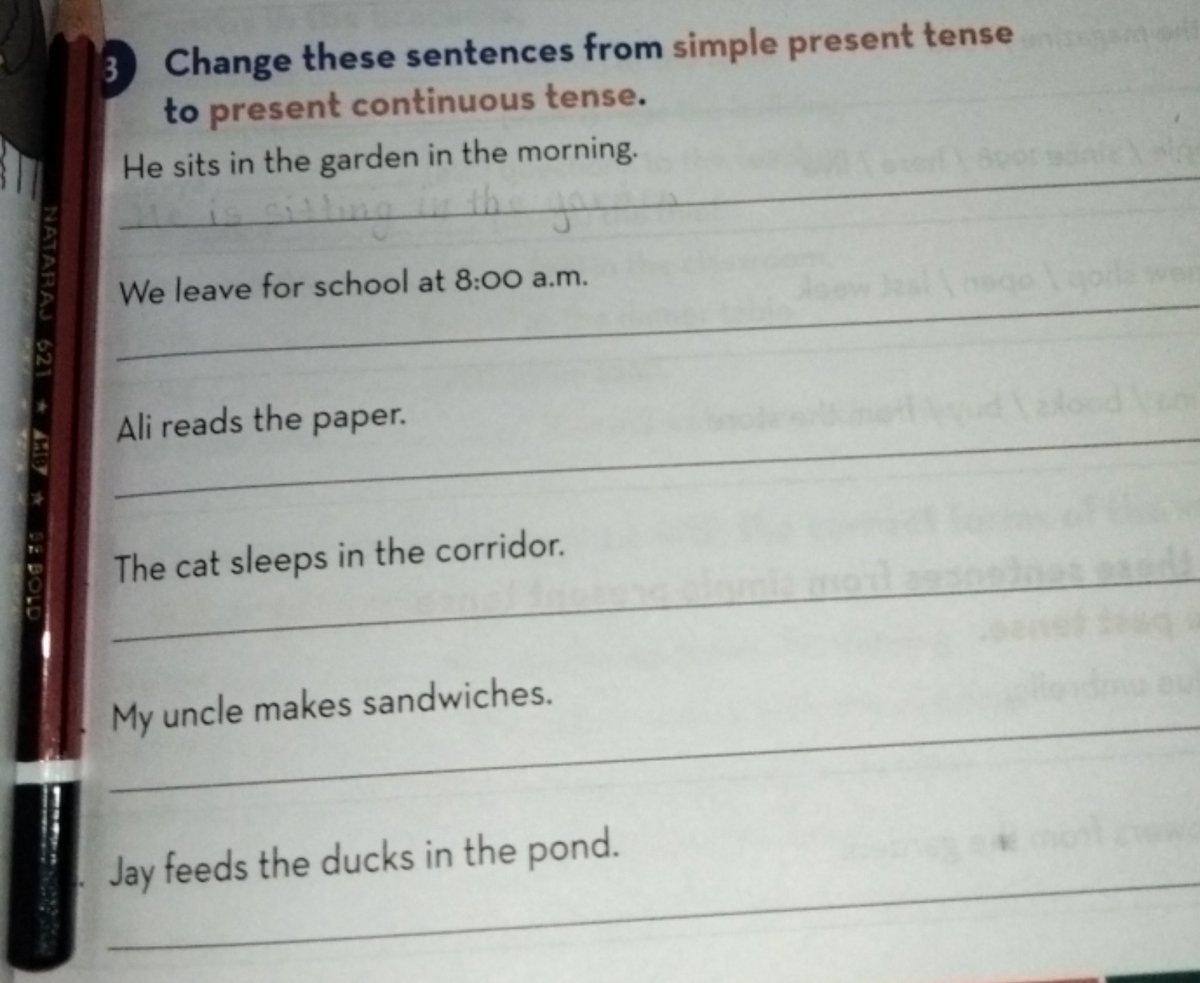 Change These Sentences From Simple Present Tense To Present Continuous Te