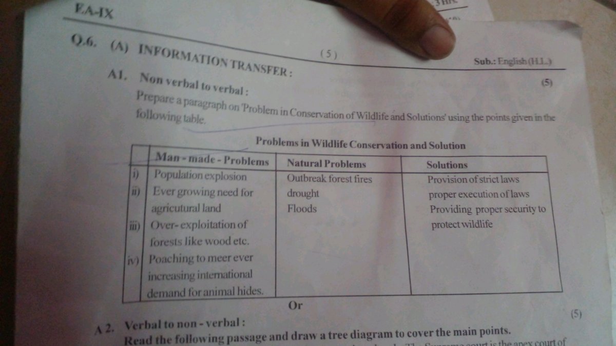 (5) (A) INFORMATION TRANSFER: A1. Non verbal to verbal: Sub.: English(H1..