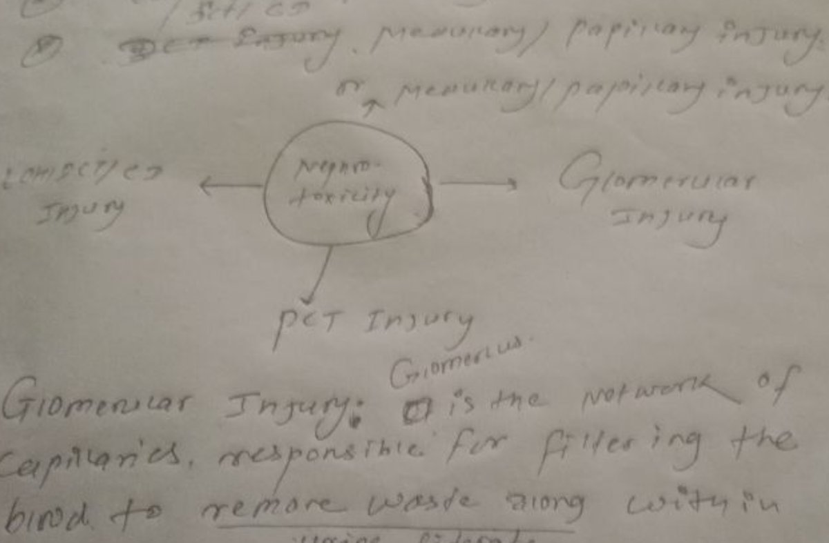 The image shows a diagram related to nephrotoxicity and different types o..