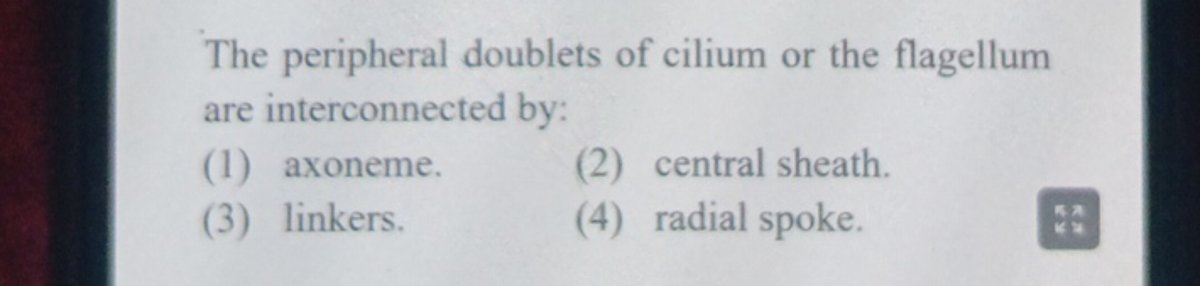 The peripheral doublets of cilium or the flagellum are interconnected by:..