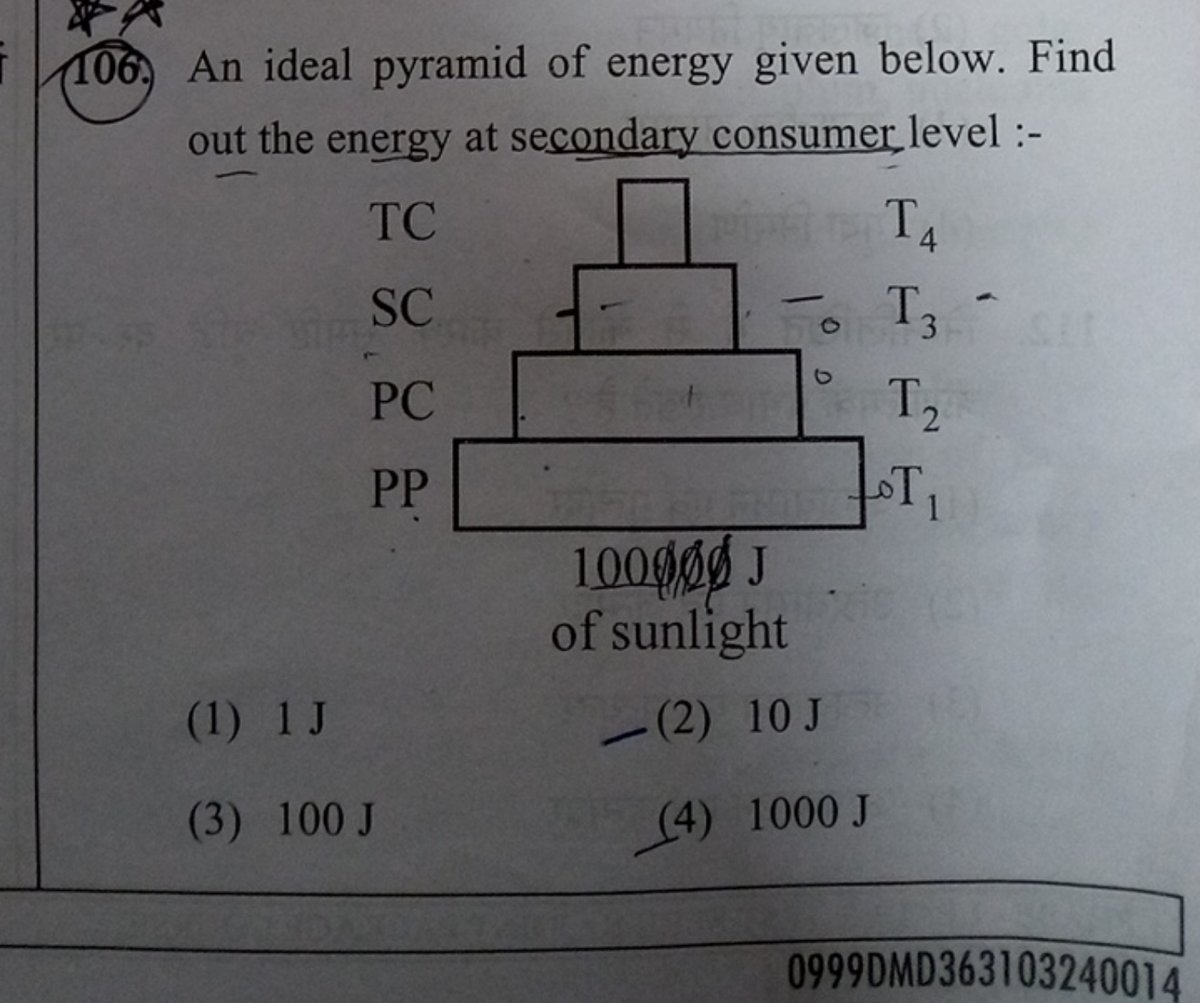 An ideal pyramid of energy is given below. Find out the energy at the sec..