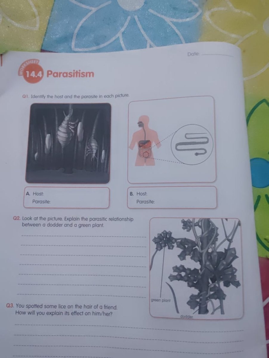 Worksheet 14.4 Parasitism Q1. Identify the host and the parasite in each..