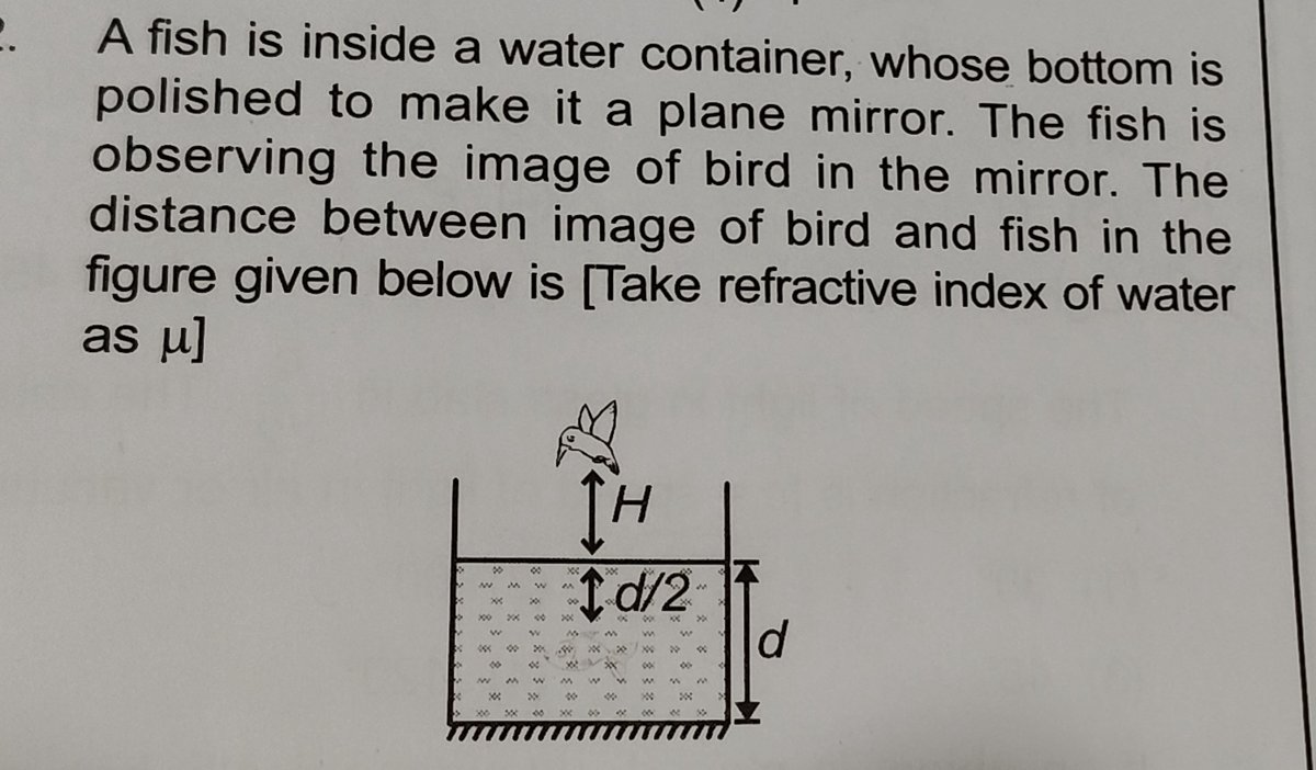 A fish is inside a water container, whose bottom is polished to make it a..