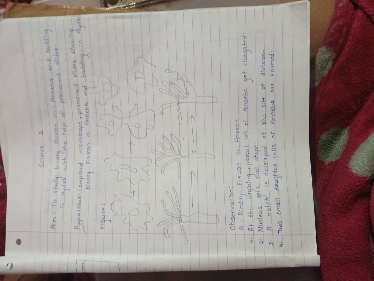 Question: Give the naming to the diagrams shown. The diagrams illustrate..