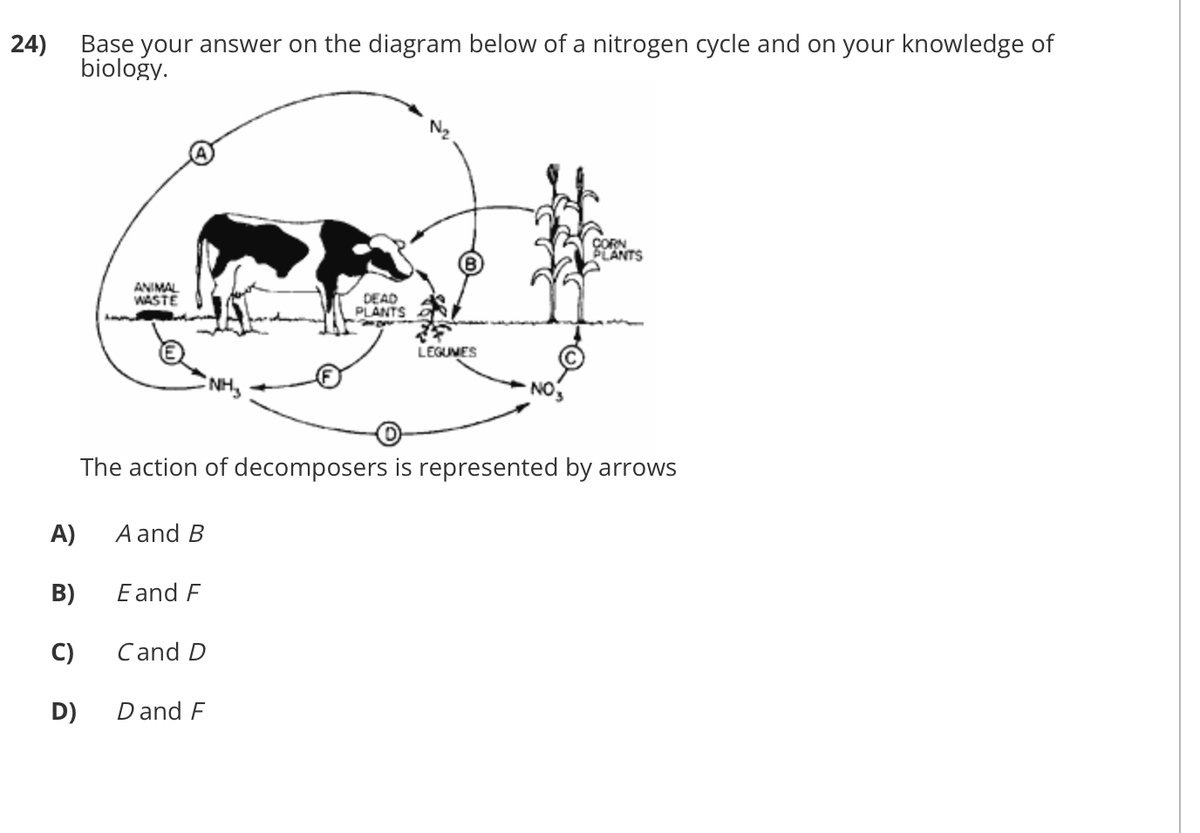 Base your answer on the diagram below of a nitrogen cycle and on your kno..