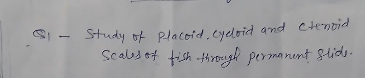 Study of Placoid, Cycloid, and Ctenoid Scales of Fish through a Permanent..