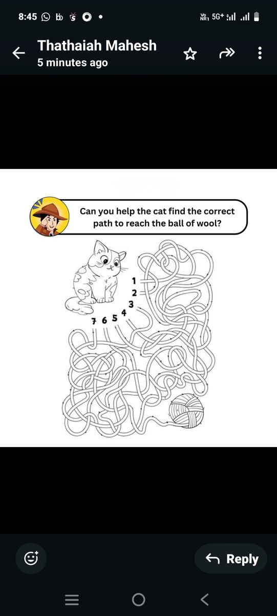 Can you help the cat find the correct path to reach the ball of wool? Th..
