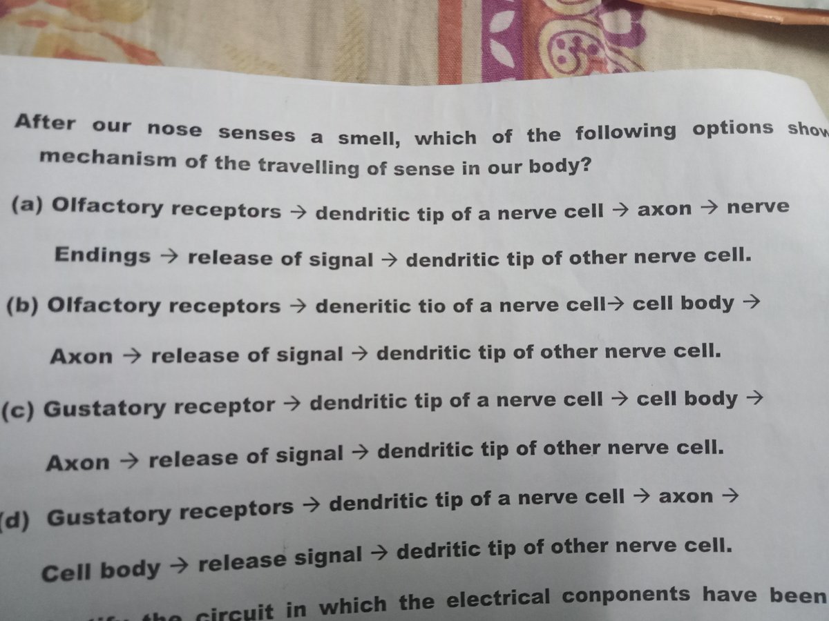 After our nose senses a smell, which of the following options show mechan..