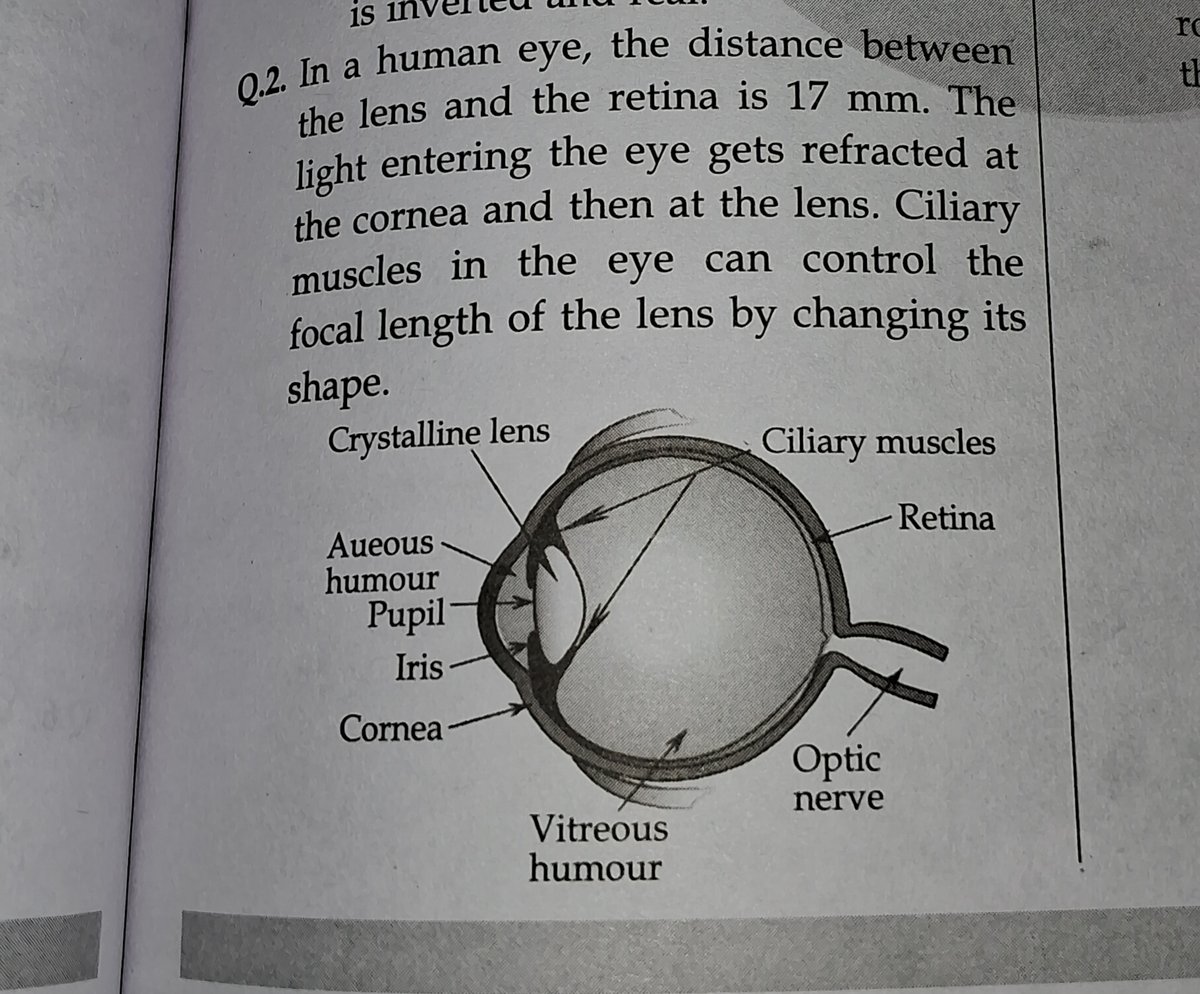 Q.2. In a human eye, the distance between the lens and the retina is 17 m..