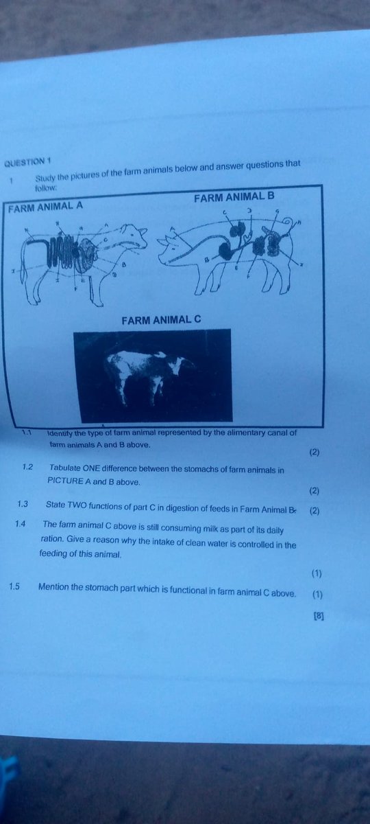 Study the pictures of the farm animals below and answer questions that fo..