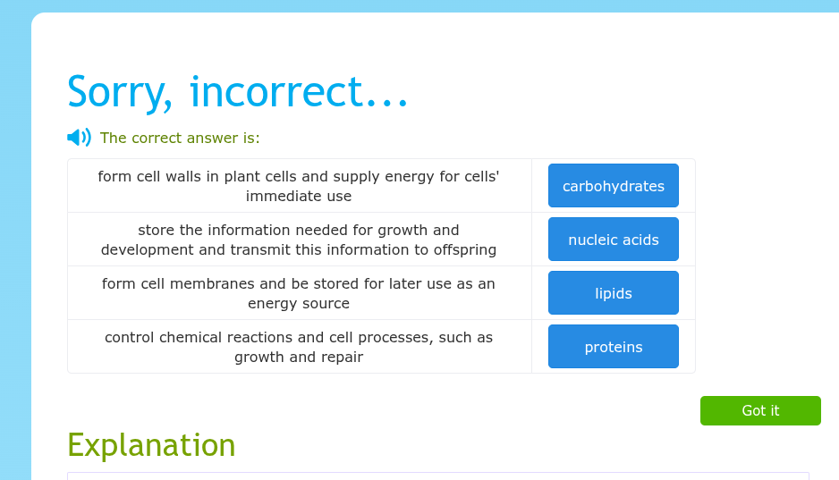 Match the biomolecule with its function: Form cell walls in plant cells