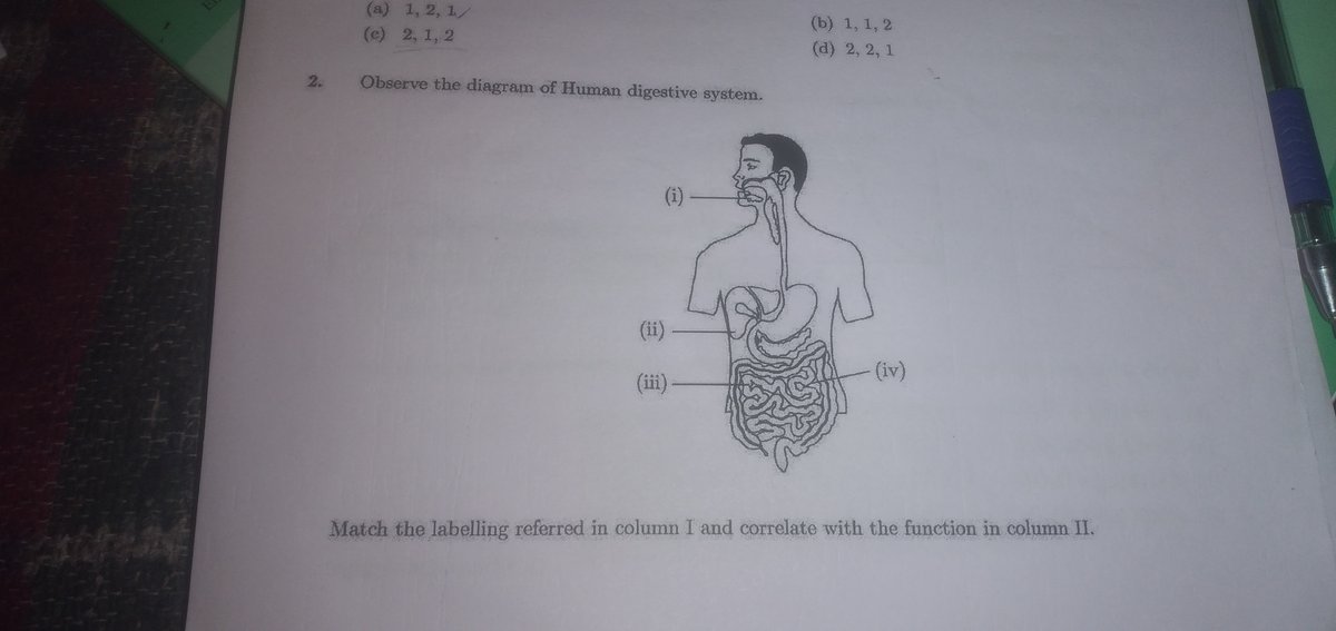 (a) 1,2,1, (c) 2,1,2 (b) 1,1,2 (d) 2,2,1 Observe the diagram of Human dig..
