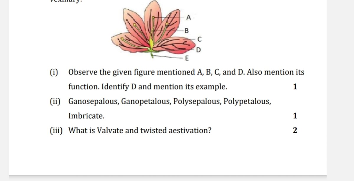 (i) Observe the given figure mentioned A, B, C, and D. Also mention its f..