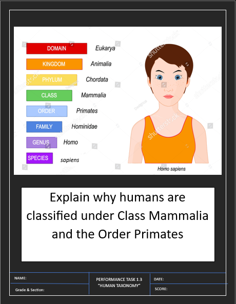 Explain why humans are classified under Class Mammalia and the Order Prim..