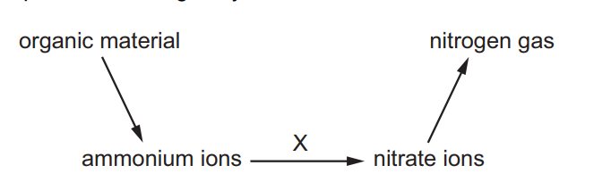 Question: In the nitrogen cycle diagram below, identify the process repre..