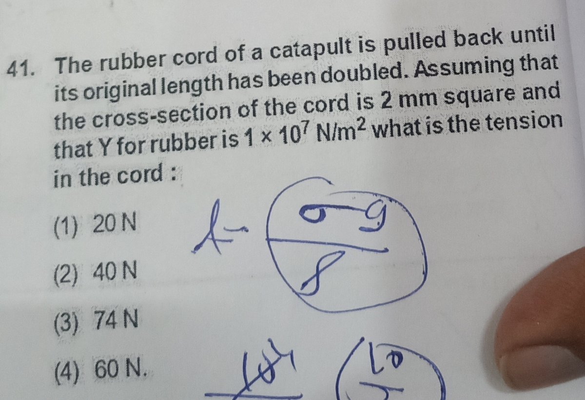 The rubber cord of a catapult is pulled back until its original length ha..