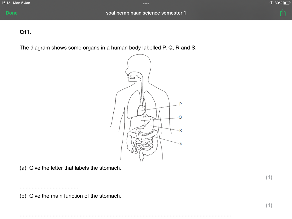 Q11. The diagram shows some organs in a human body labelled P, Q, R and S..