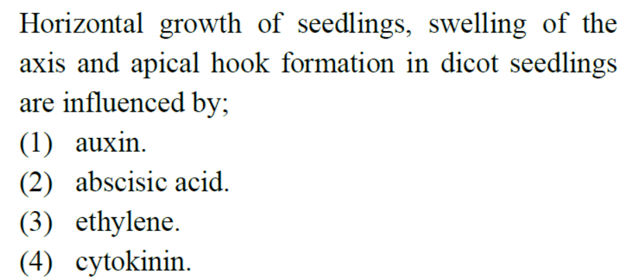 Horizontal growth of seedlings, swelling of the axis and apical hook form..