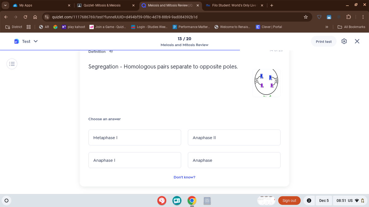 Segregation - Homologous pairs separate to opposite poles. Choose an ans..