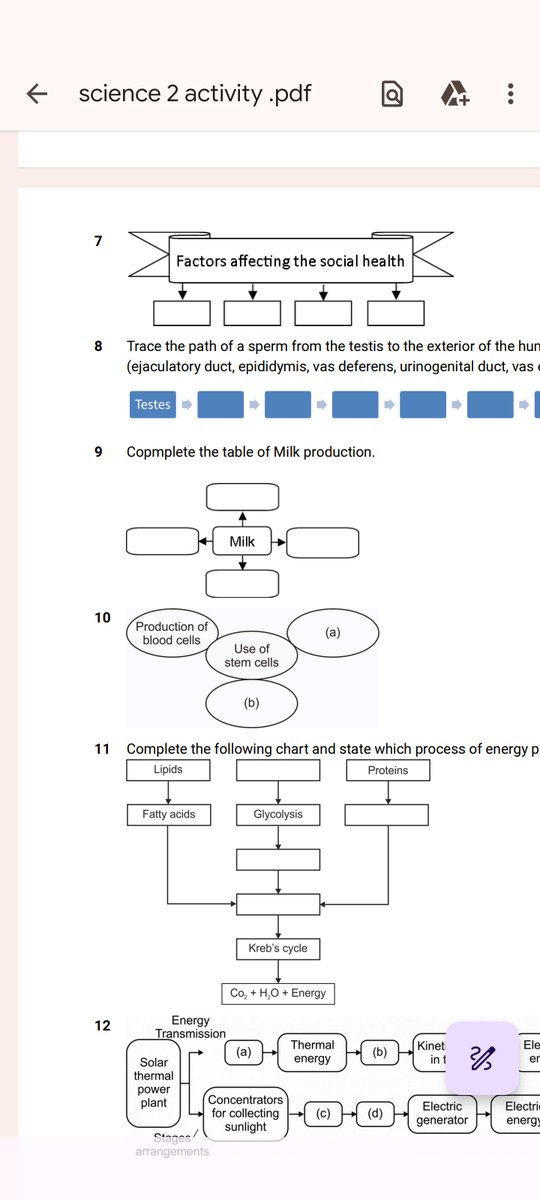 7. Factors affecting the social health 8. Trace the path of a sperm from..
