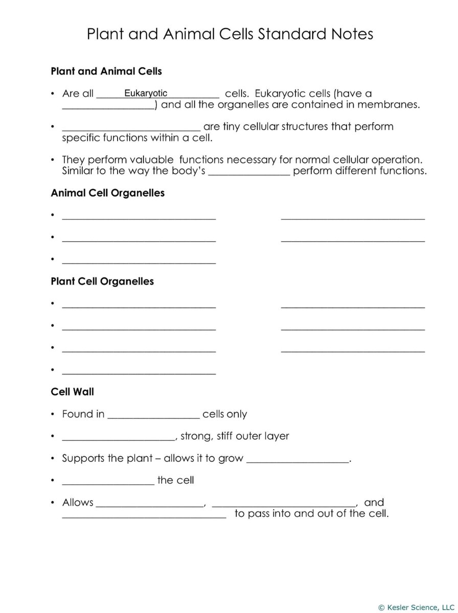 Plant and Animal Cells Standard Notes Plant and Animal Cells Are all _ E..