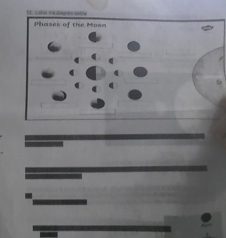 Label the diagram below: Phases of the Moon | Filo