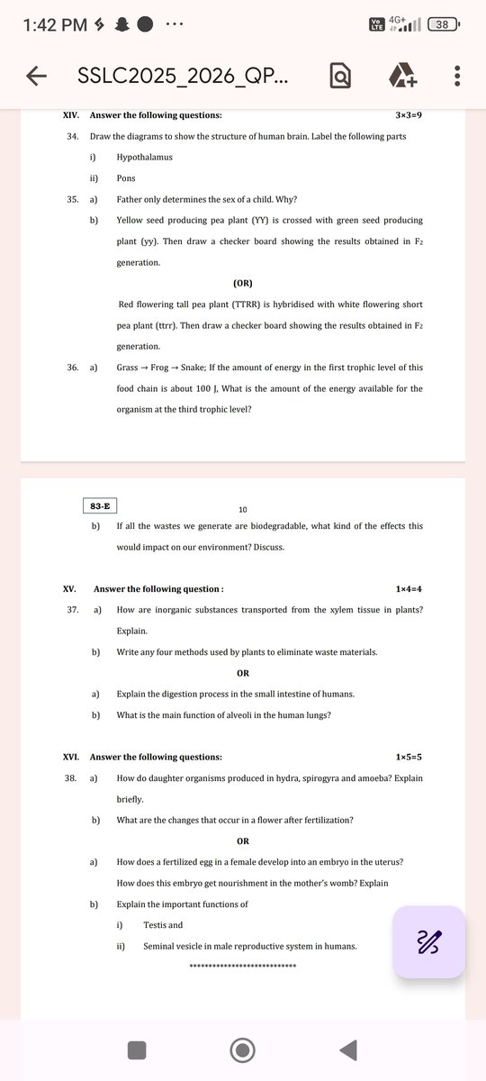 XIV. Answer the following questions: Draw the diagrams to show the struc..