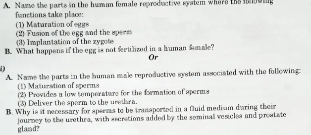 A. Name the parts in the human female reproductive system where the follo..