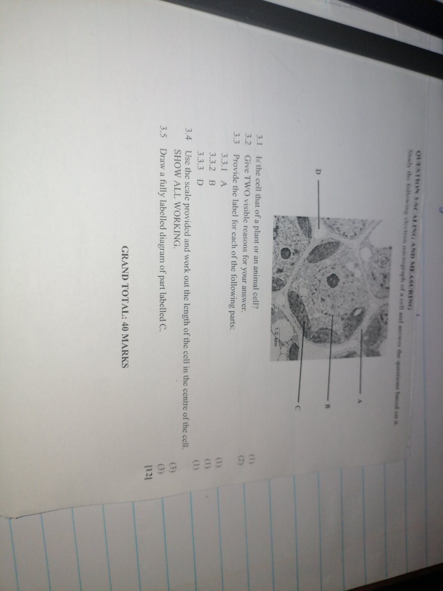 3.1 Is the cell that of a plant or an animal cell? 3.2 Give TWO visible r..