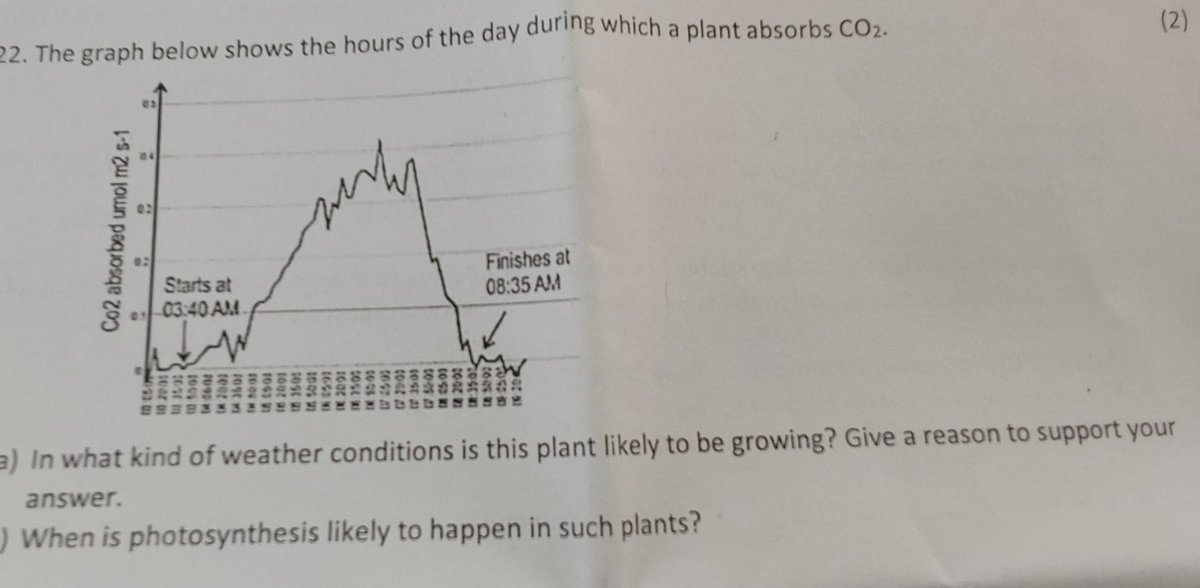 The graph below shows the hours of the day during which a plant absorbs