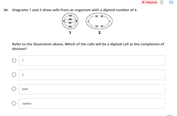 Diagrams 1 and 2 show cells from an organism with a diploid number of 4.