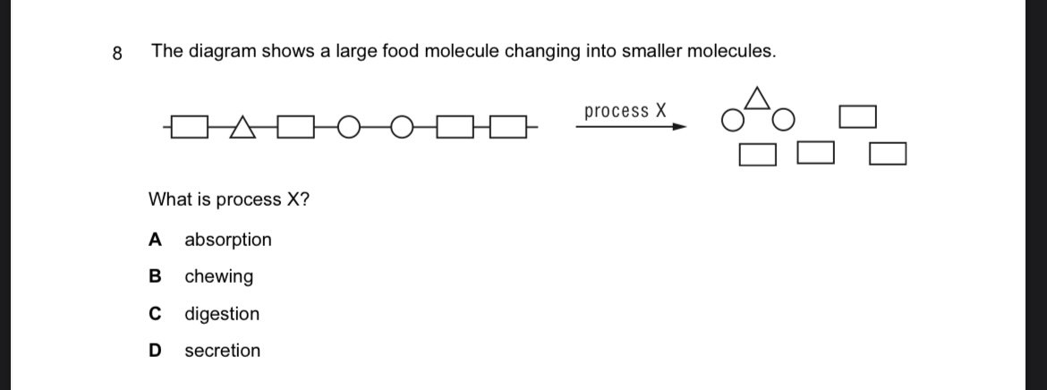 8 The diagram shows a large food molecule changing into smaller molecules..