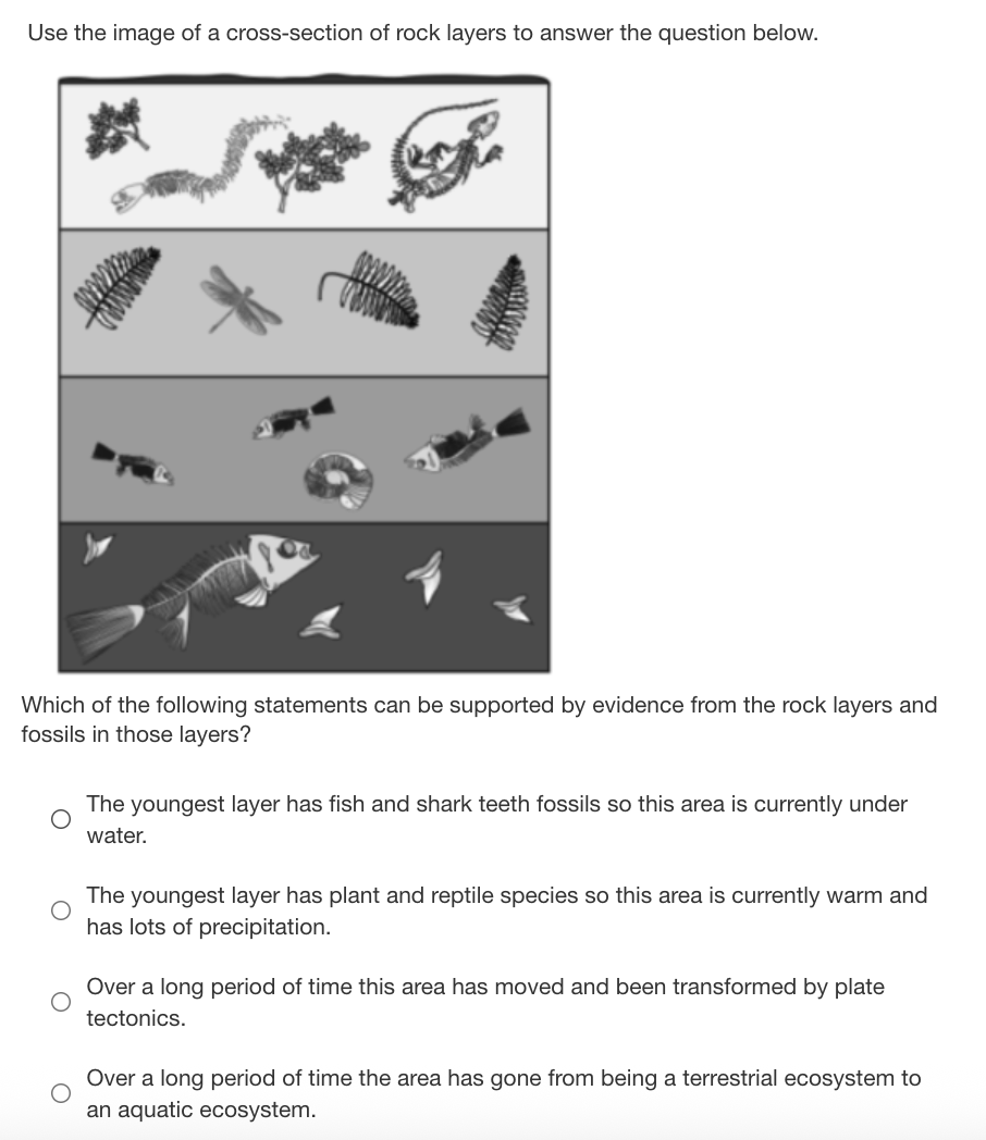 Use the image of a cross-section of rock layers to answer the question be..