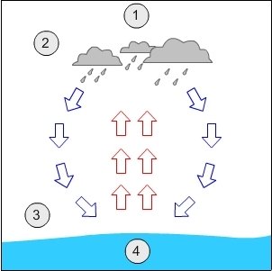 Michelle drew a simple diagram to show how a hurricane forms. Which locat..