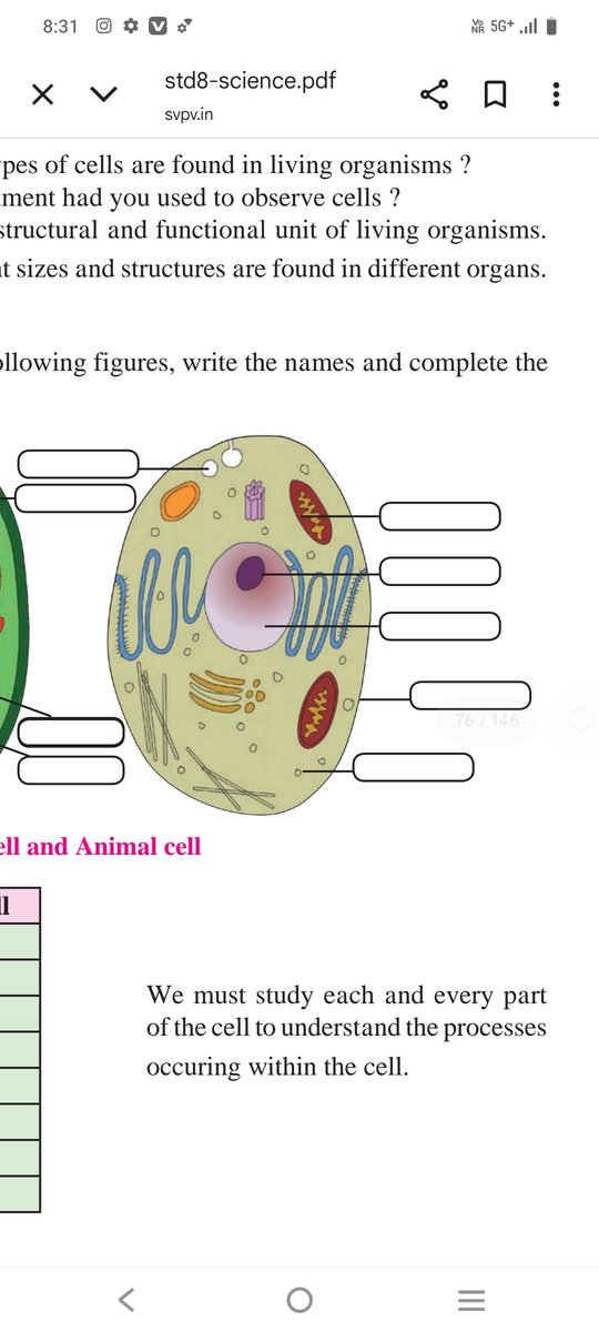 Questions on Cells What types of cells are found in living organisms? Wh..