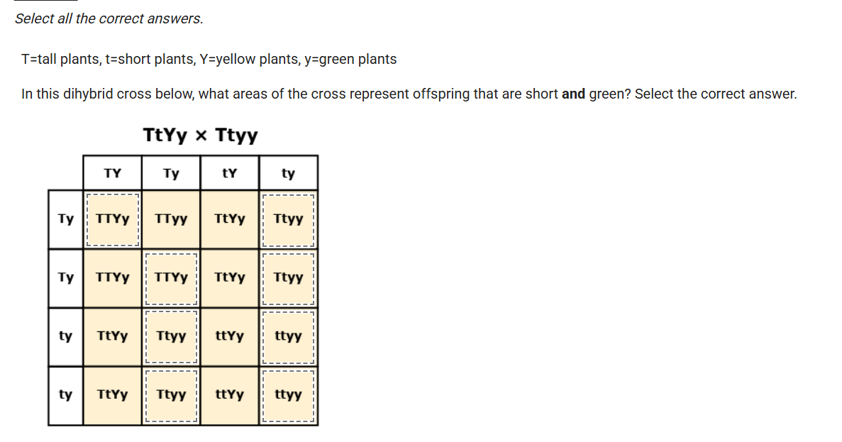 Select all the correct answers. T=tall plants, t=short plants, Y=yellow