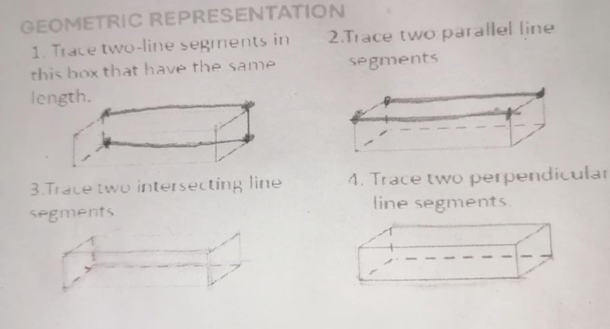 GEOMETRIC REPRESENTATION Trace two line segments in this box that have t..