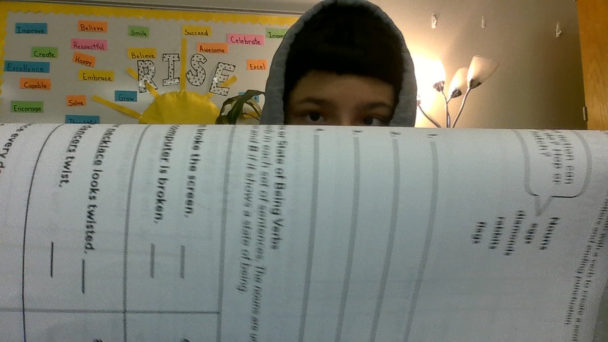Identify the nouns and state of being verbs in each set of sentences. The..