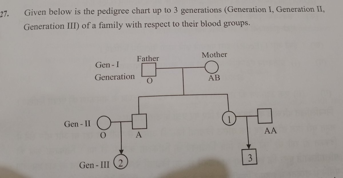 Given below is the pedigree chart up to 3 generations (Generation I, Gene..