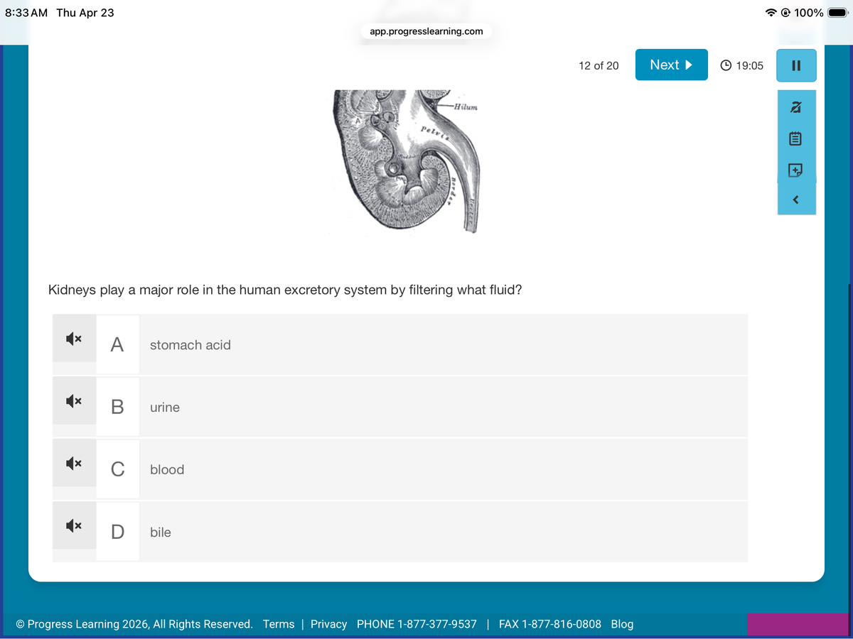 Kidneys play a major role in the human excretory system by filtering what..