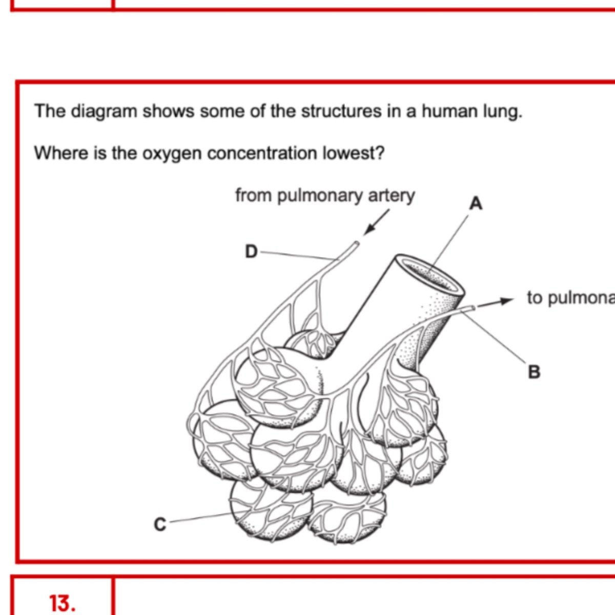 The diagram shows some of the structures in a human lung. Where is the ox..
