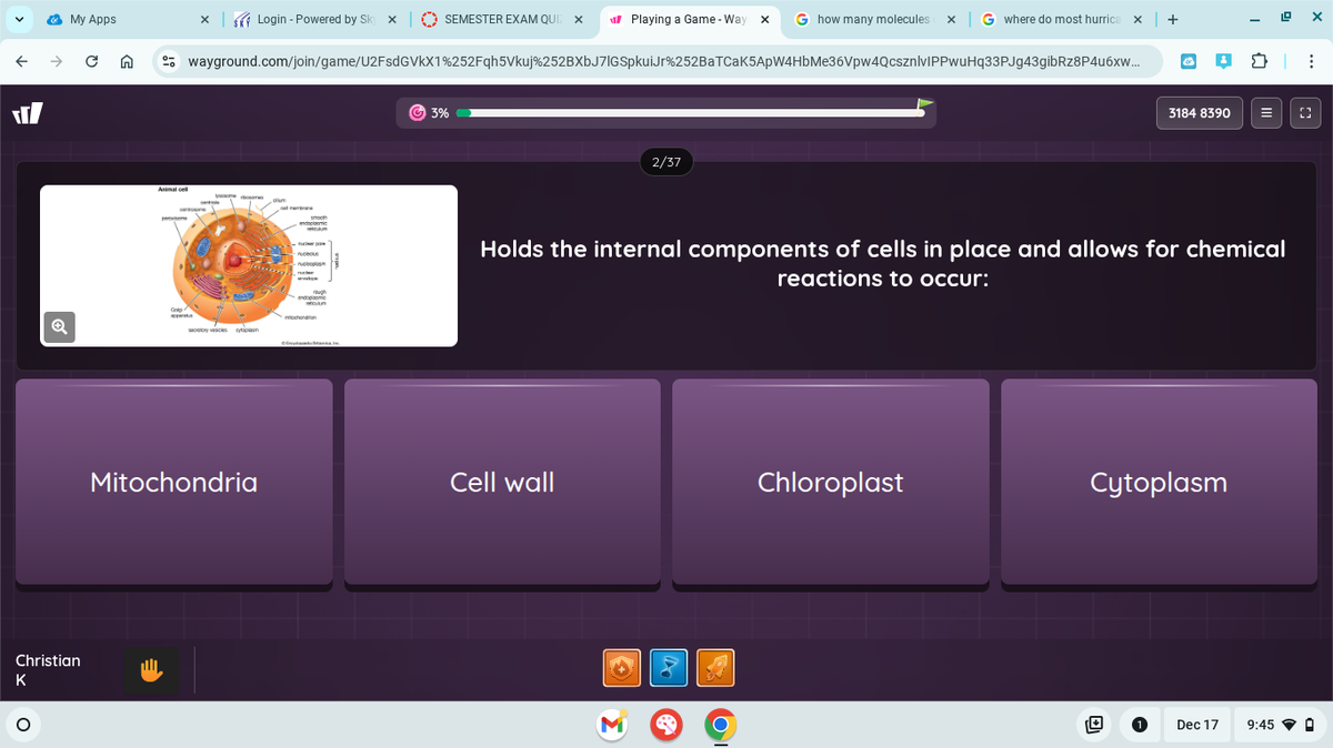 Holds the internal components of cells in place and allows for chemical r..