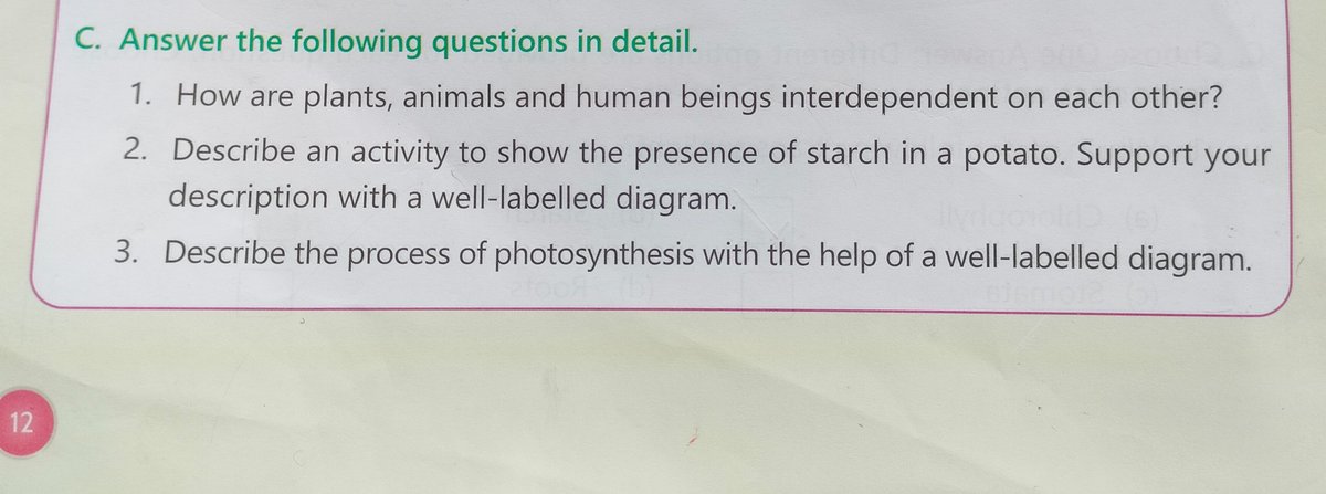 C. Answer the following questions in detail. How are plants, animals and..