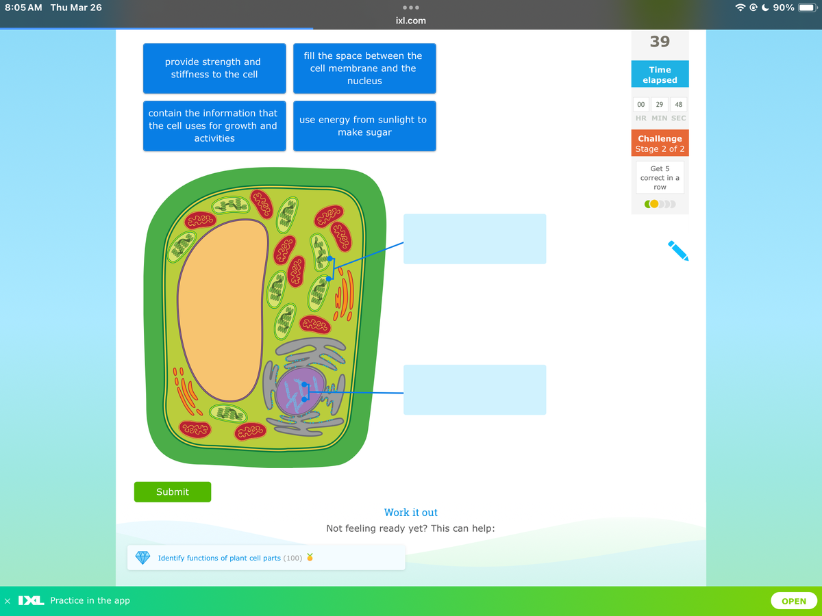 Identify the functions of the plant cell parts in the given diagram...