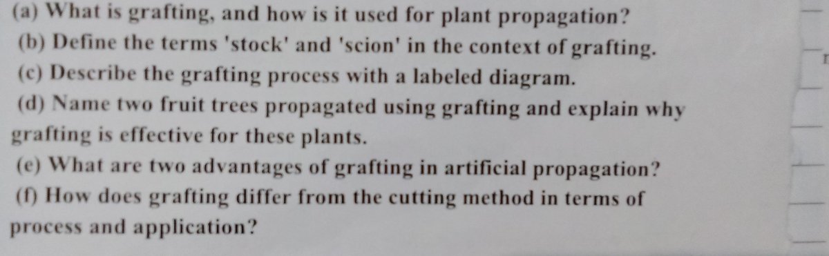Questions on Grafting and Plant Propagation (a) What is grafting, and ho..