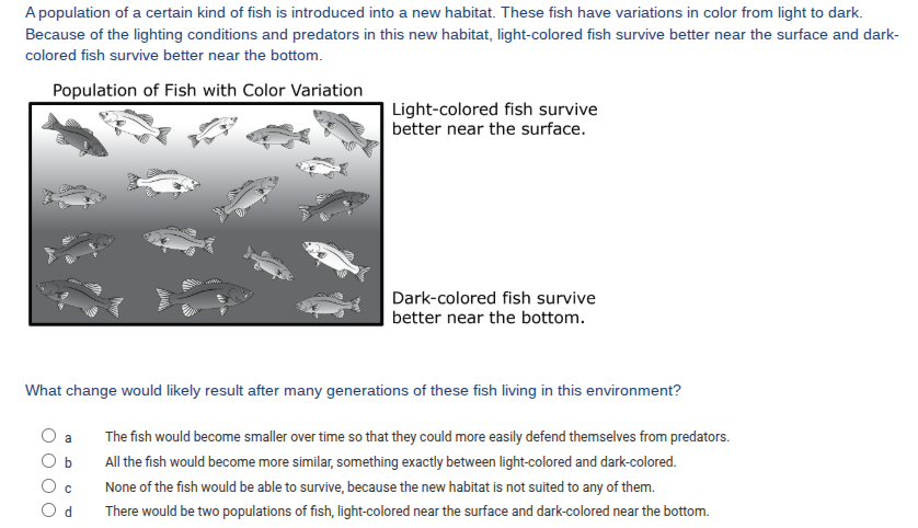 A population of a certain kind of fish is introduced into a new habitat.