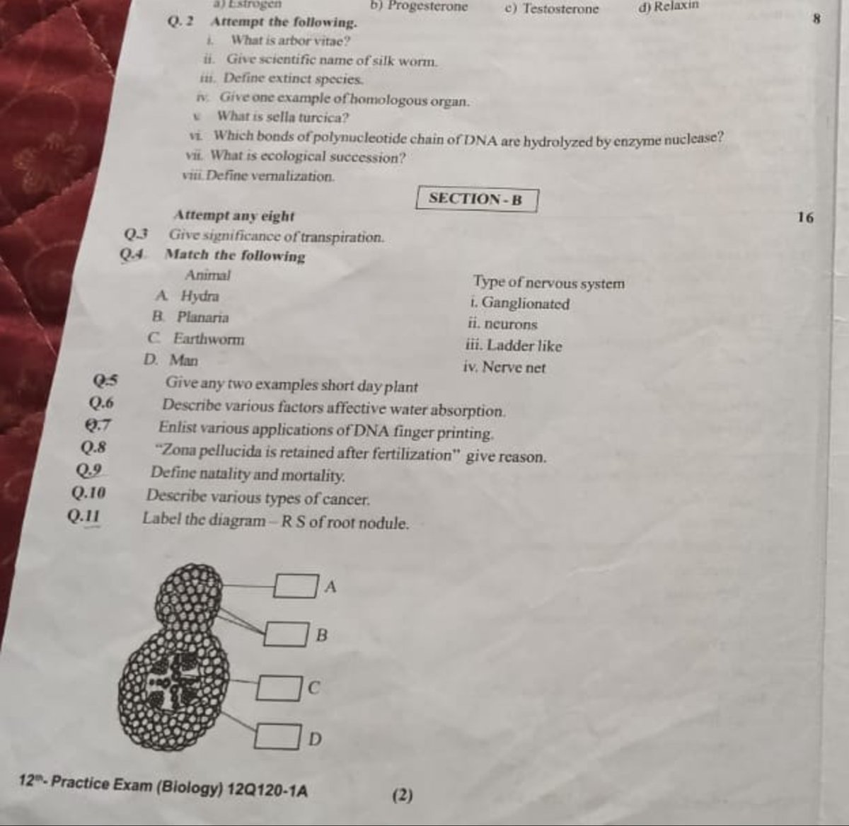 Q2. Attempt the following: What is arbor vitae? Give scientific name of