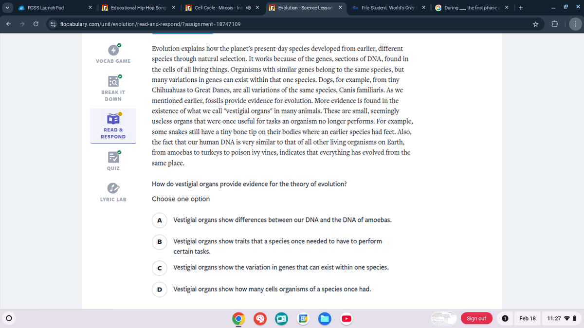 How do vestigial organs provide evidence for the theory of evolution? Ch..